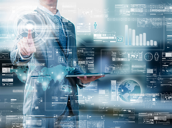 Assessing Data Management Maturity Using the DAMA DMBoK Framework ...